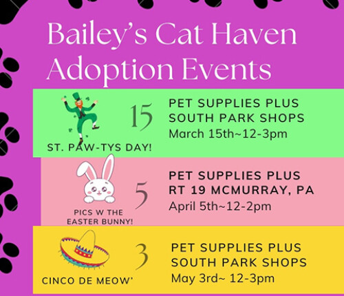 Angel Ridge Animal Rescue