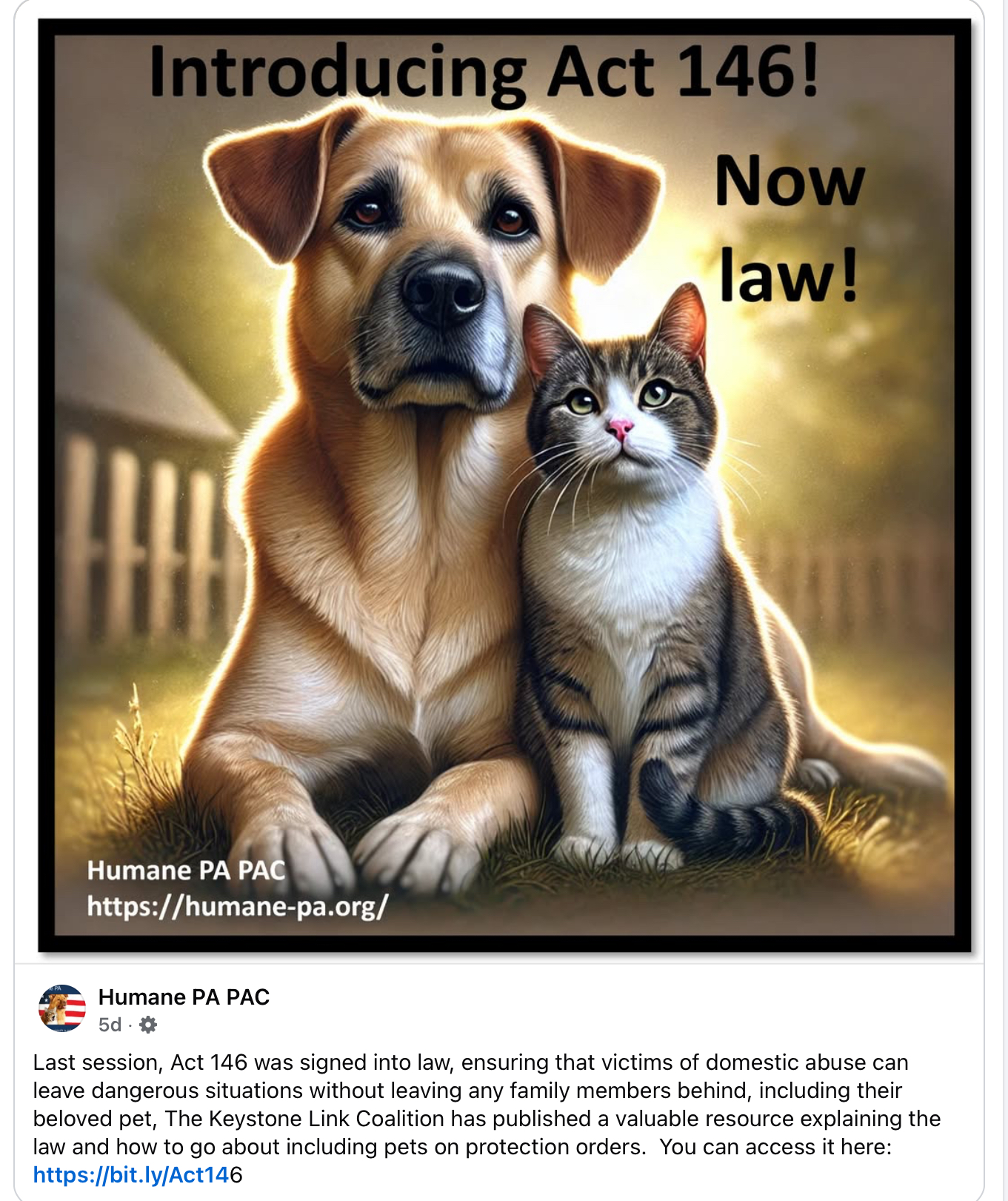 Angel Ridge Animal Rescue