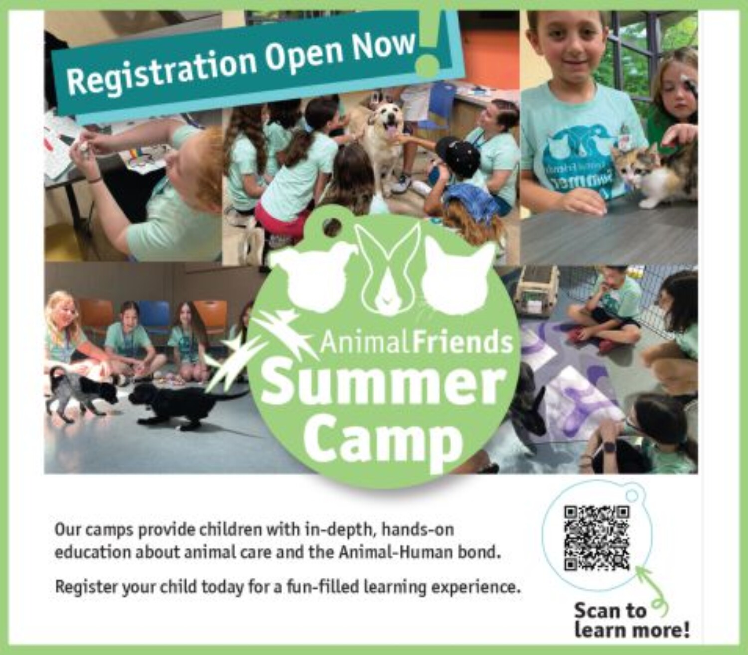 Angel Ridge Animal Rescue