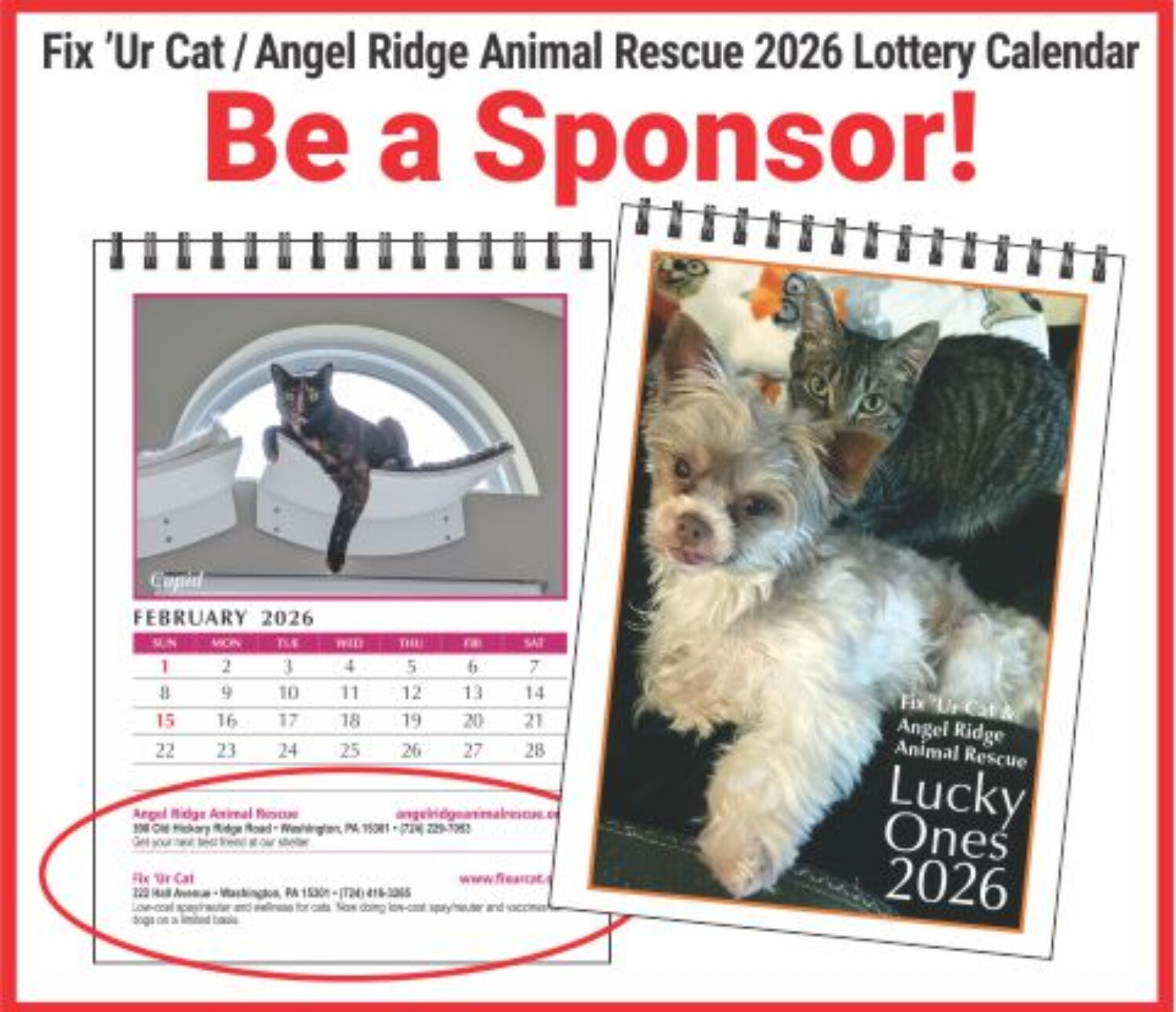 Angel Ridge Animal Rescue